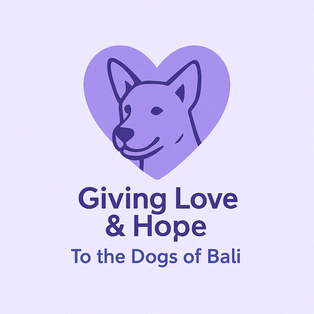 Giving Love & Hope to the Dogs of Bali | Dog Rescue & Sanctuary